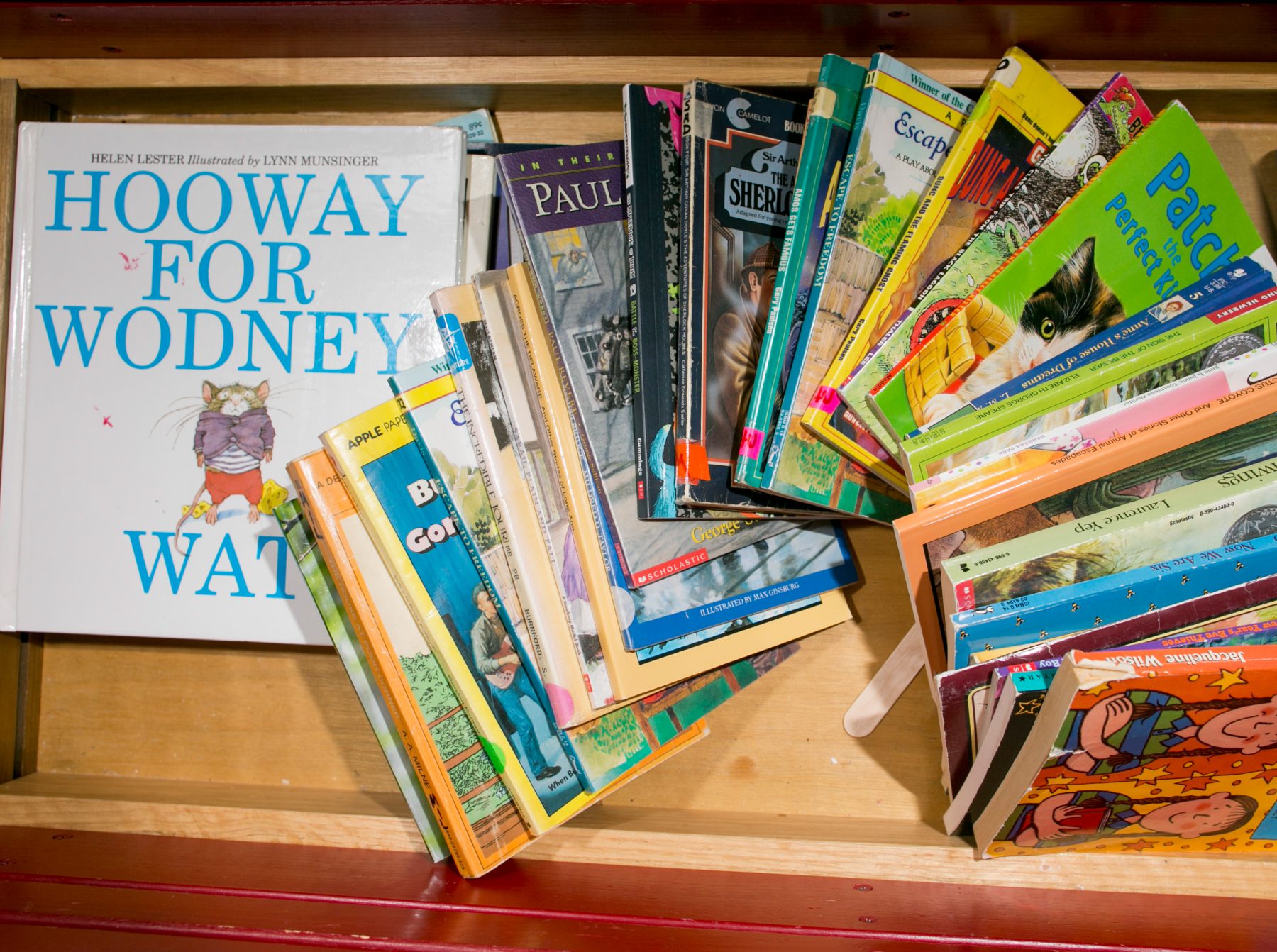 Literacy Support | Every Child Pediatrics